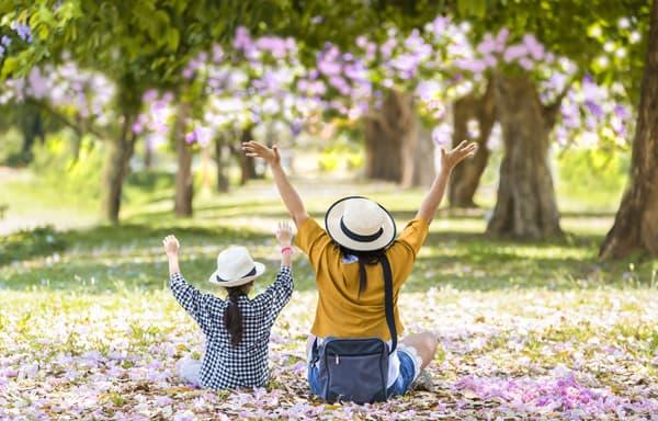 Home | MSIG Hong Kong